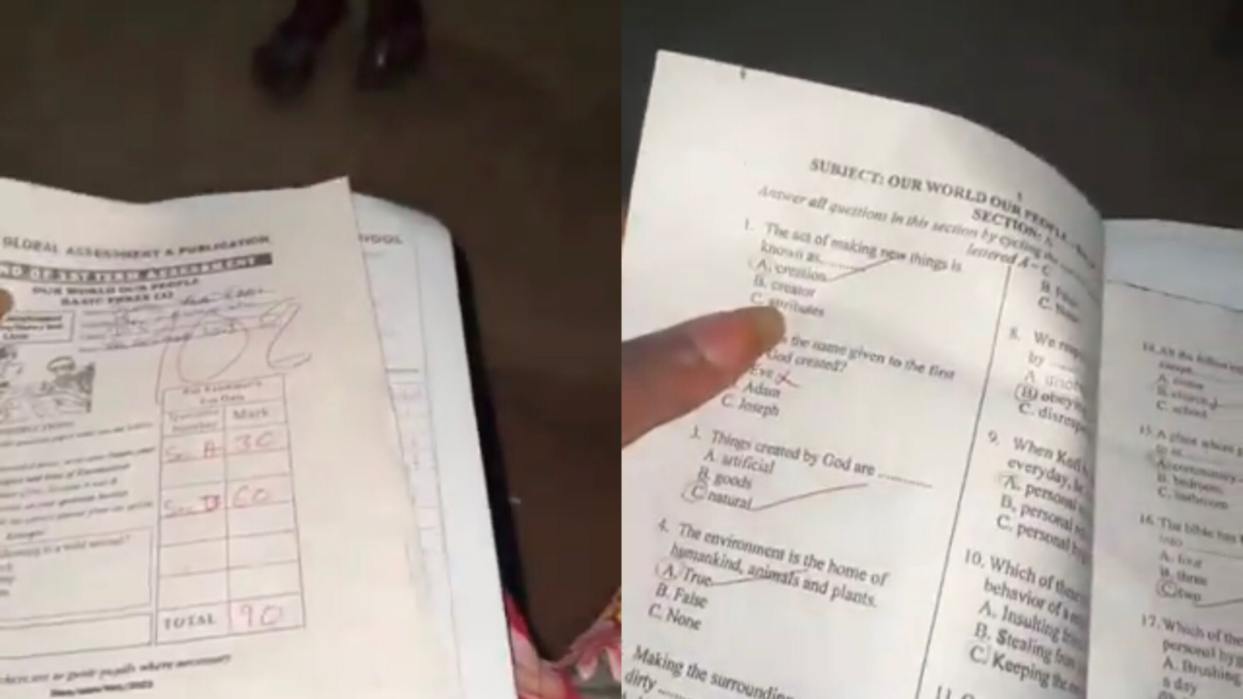 Young girl amazes her brother with a 90% exam score