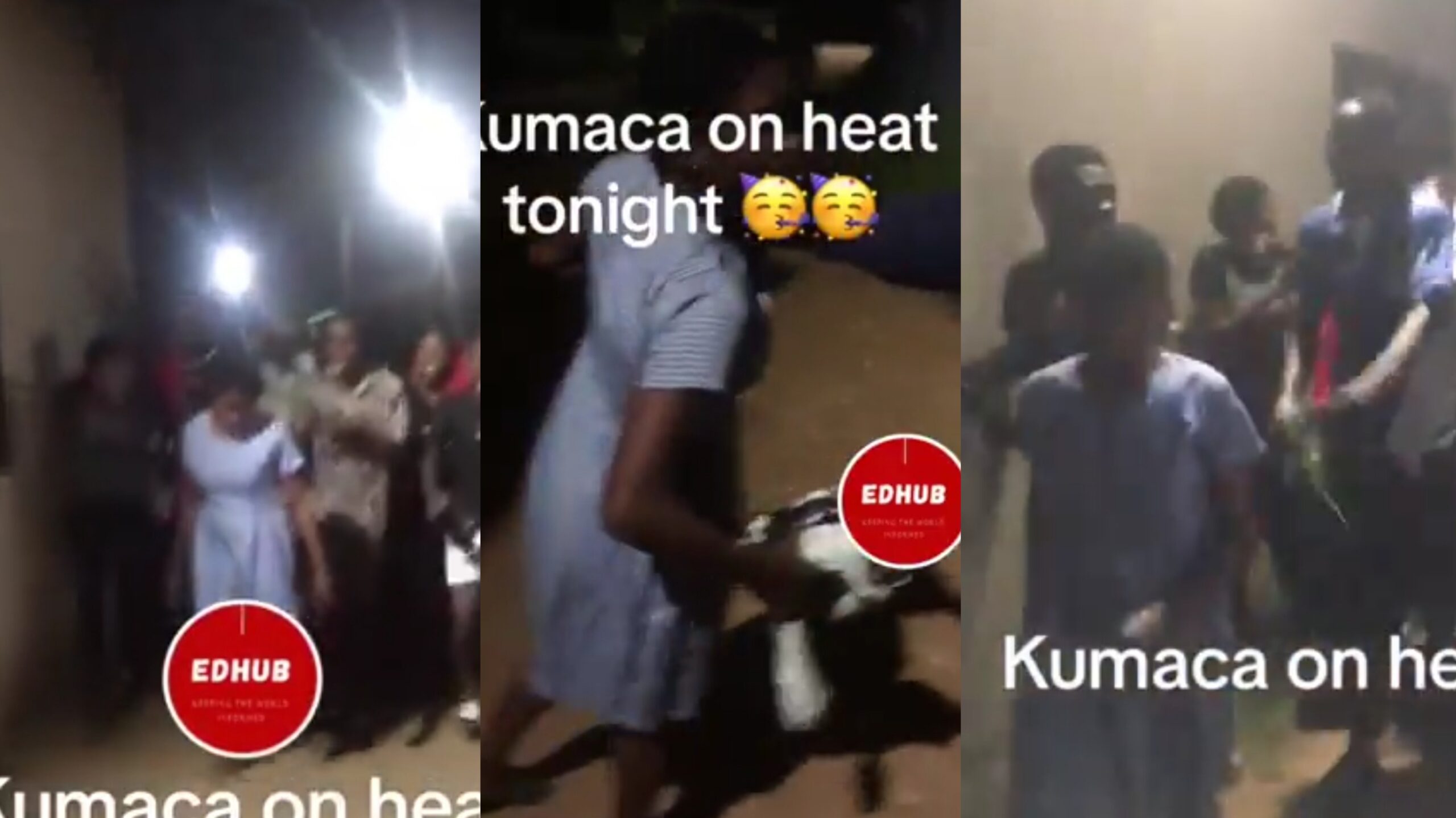 Kumasi Academy SHS Male Students Assault Female Student Over